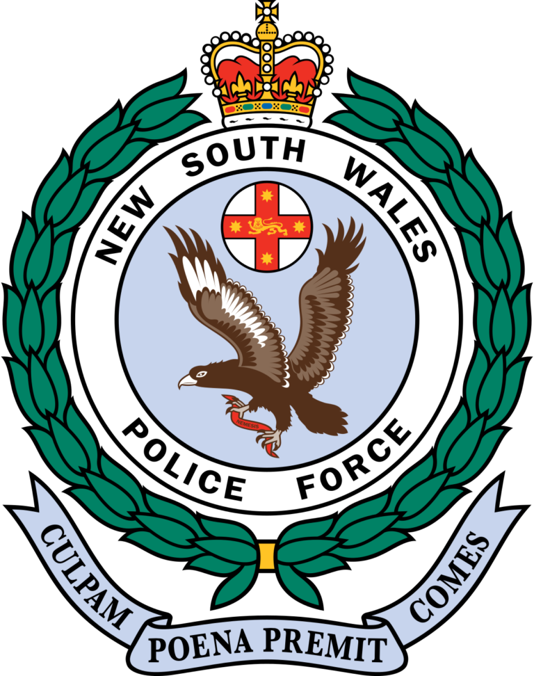 NSW Police officer facing DV stalking charges - Inside State Government