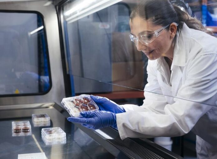 ‘Superpowered’ fungus could hold key to mining waste detox - Inside ...